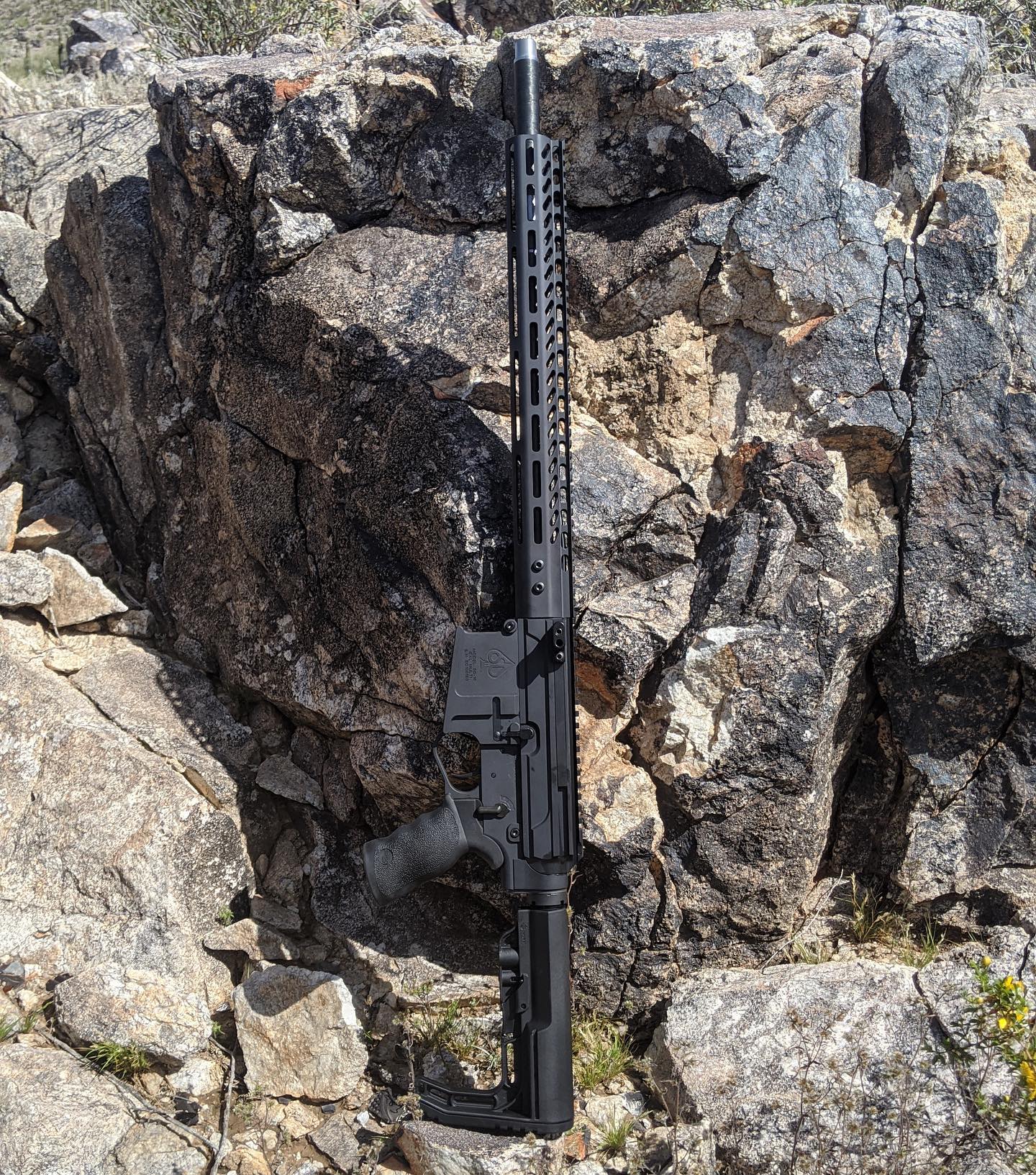 Gallery - SD RIFLES